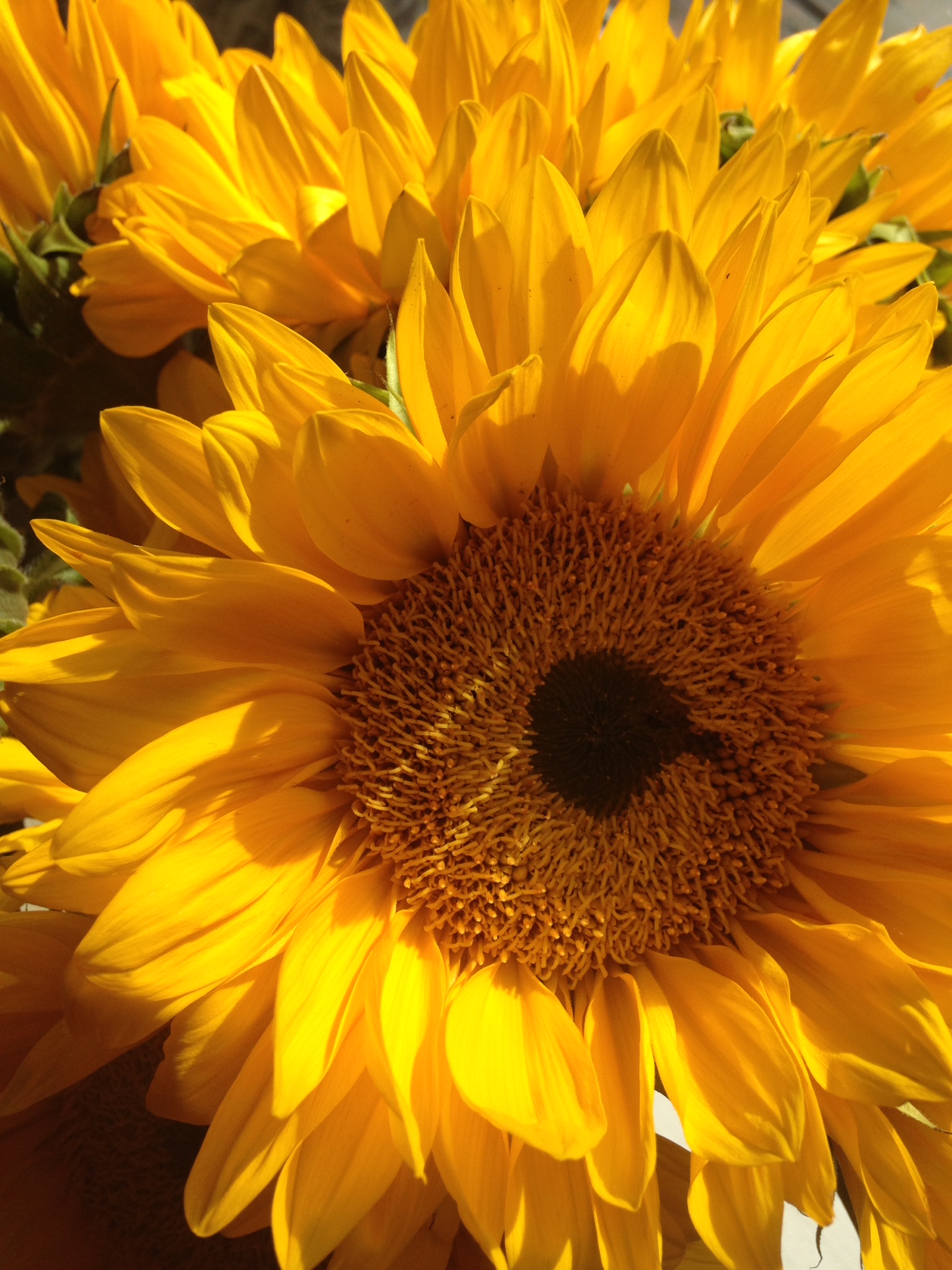 Quarantine – Susan Reimer