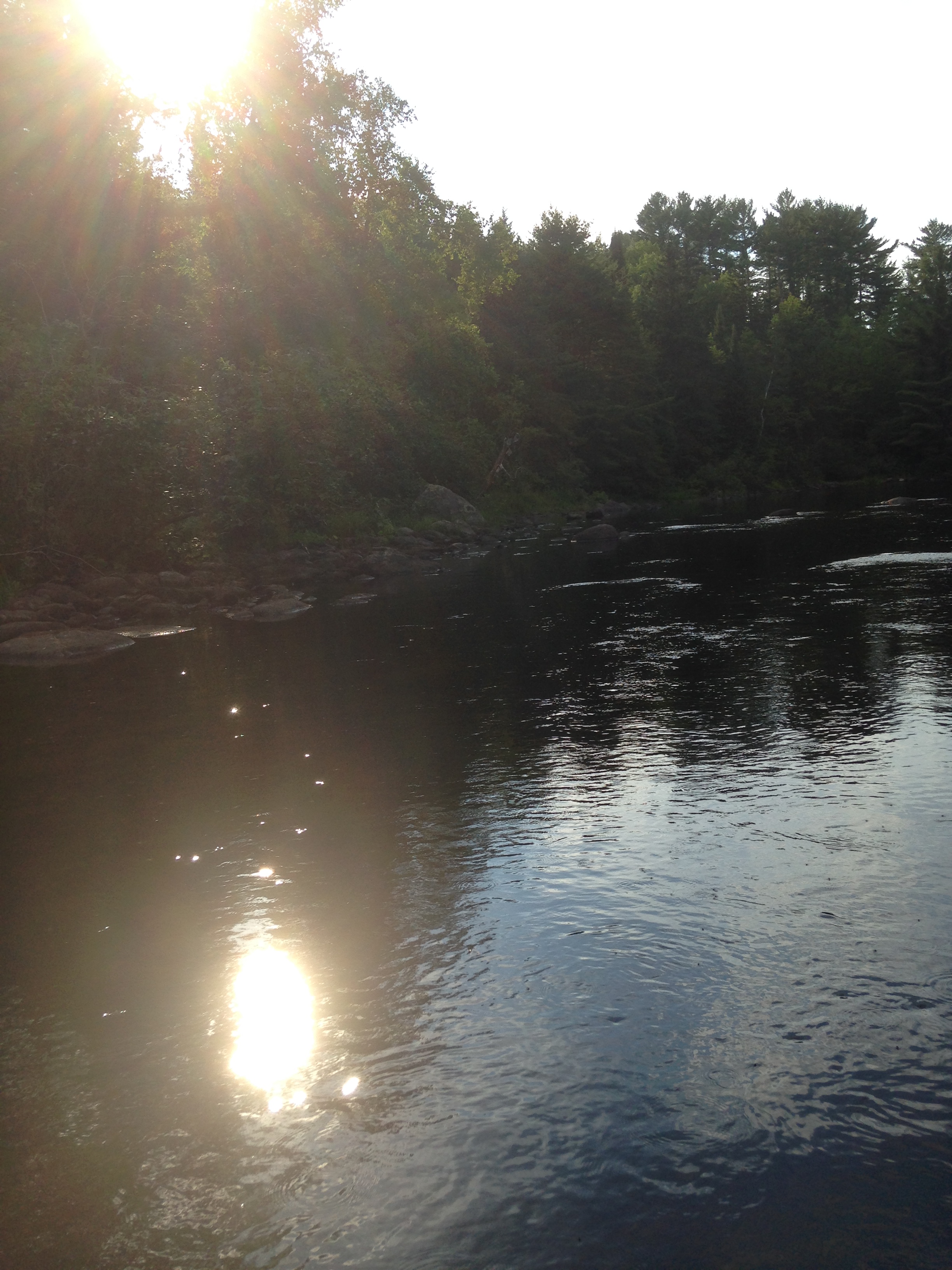 The Healing Power of Water – Susan Reimer