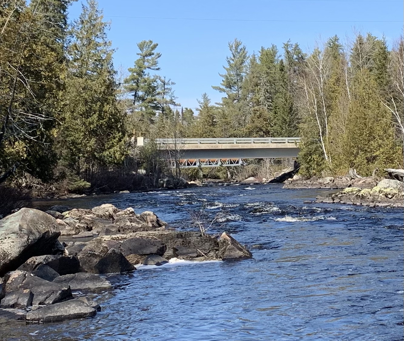 Looking forward to Spring – Susan Reimer