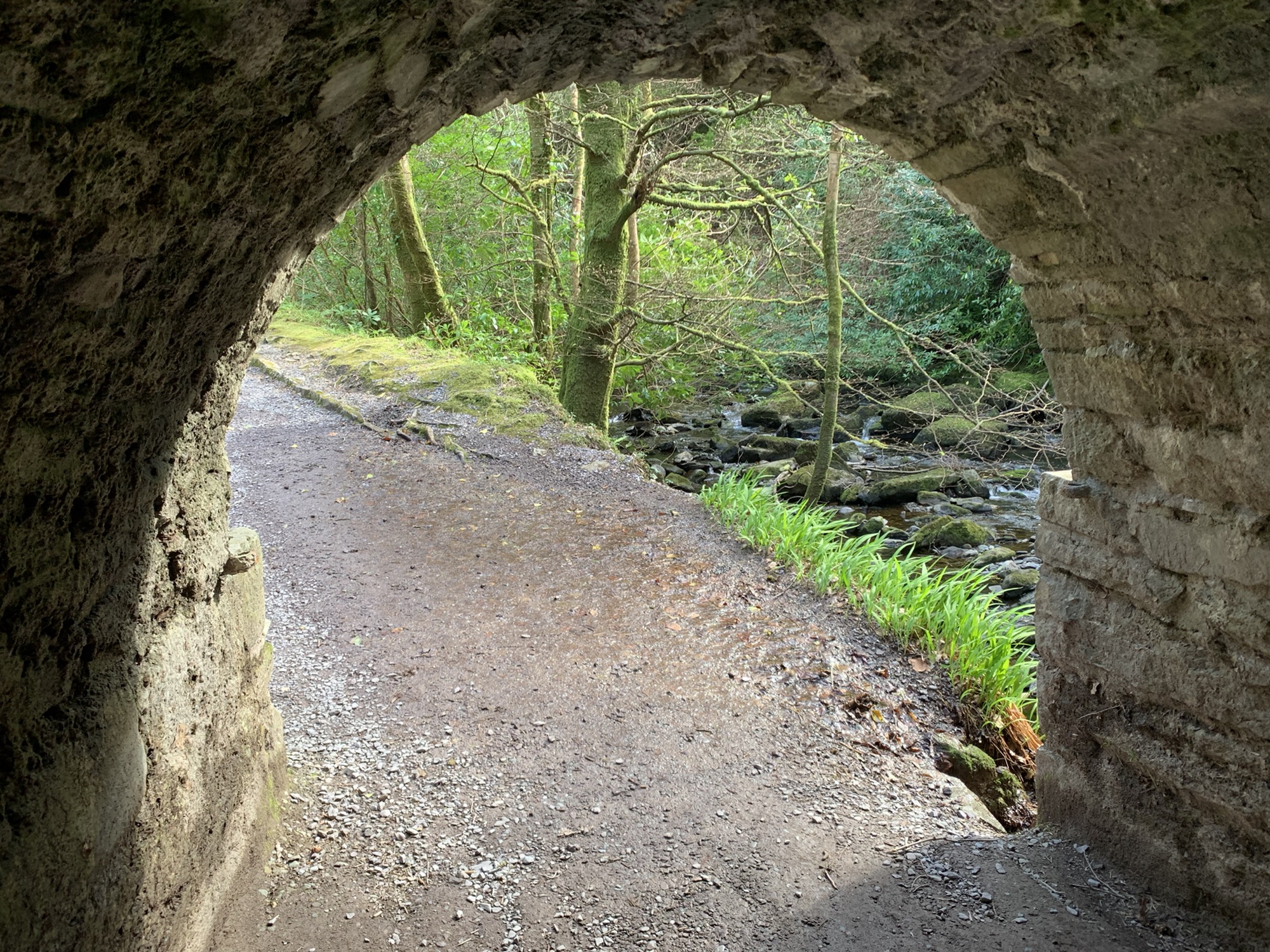 The power of story to connect – Susan Reimer